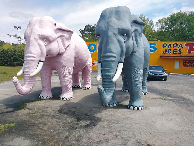 These elephants didn't forget to dress up for their photo op. Pink and gray giants standing sentinel in a parking lot &ndash; just another normal day in Bolton.