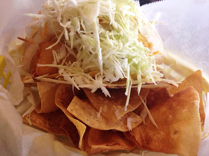 These aren't just chips &ndash; they're crispy vehicles for delivering maximum salsa to your face with minimal spillage.