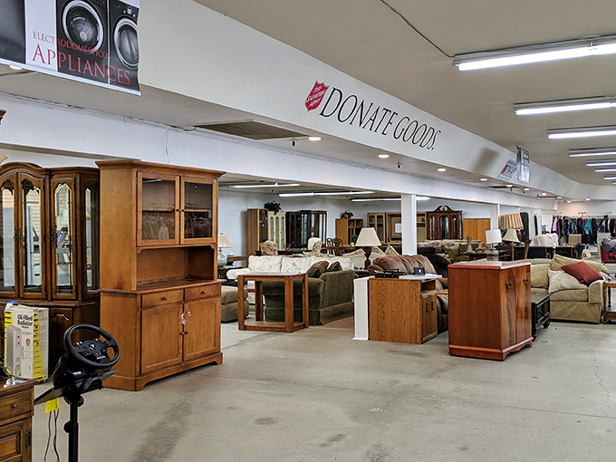 Furniture that tells stories waits for new chapters. This display showcases solid wood pieces and comfortable seating options at prices that make interior designers weep with joy.