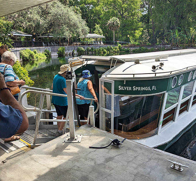 All aboard the original "underwater Instagram" &ndash; these glass-bottom boats have been wowing visitors since before filters were even a thing.