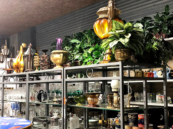 The glassware section gleams like an indoor sunset, with amber vessels and lush plants creating a display that's part boutique, part botanical garden.