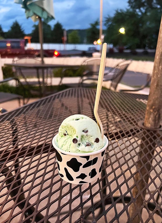 Mint chocolate chip ice cream at twilight&mdash;proof that some of life's most perfect moments happen on metal patio furniture outside a red barn in Maryland.