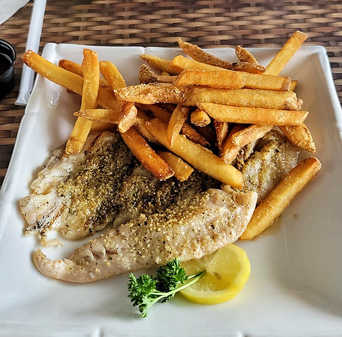 Simple pleasures done right—perfectly cooked grouper with golden fries. No foam, no fancy plating, just seafood that tastes like vacation feels.