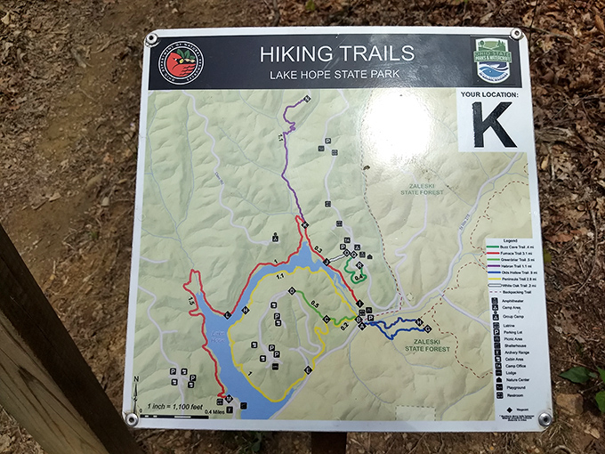 Adventure awaits at Lake Hope State Park&mdash;explore scenic trails, breathe in fresh forest air, and get closer to nature&rsquo;s beauty!