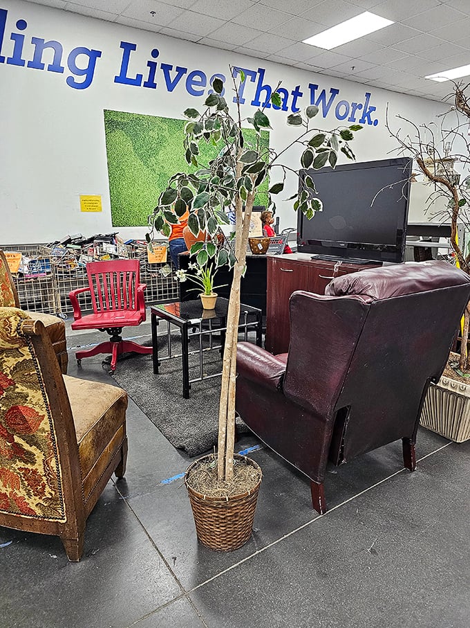 Welcome to furniture nirvana where your living room dreams take shape without emptying your wallet. That ficus tree has stories to tell.