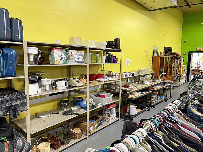 The shelves tell stories of dinner parties past and future&mdash;each mismatched appliance and serving piece waiting for its comeback tour in your kitchen.
