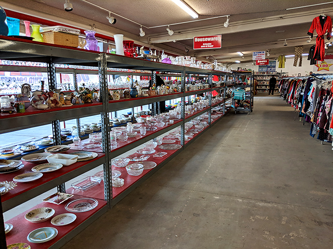 Dish-covery zone! These shelves of tableware tell stories of dinner parties past, just waiting to star in your next gathering.