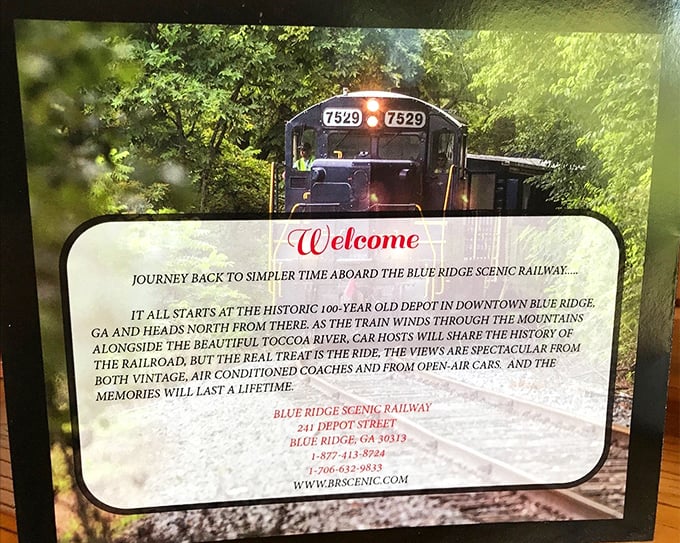 The welcome sign tells the story: a journey through time alongside the Toccoa River, where the ride itself is the destination.