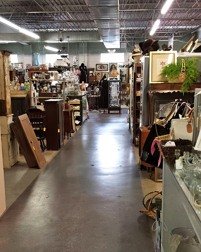 Wide aisles lead to narrow discoveries. The organized chaos creates treasure-hunting paths that could turn a quick visit into an afternoon adventure.