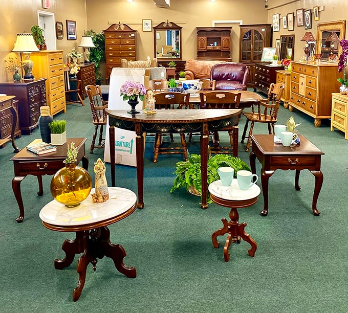 The furniture showroom feels like walking through a museum where everything's for sale and touching is not just allowed but encouraged.