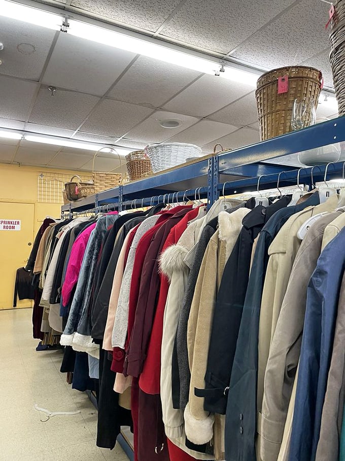 Winter coat shopping that won't freeze your bank account. This colorful collection ranges from practical parkas to statement pieces.