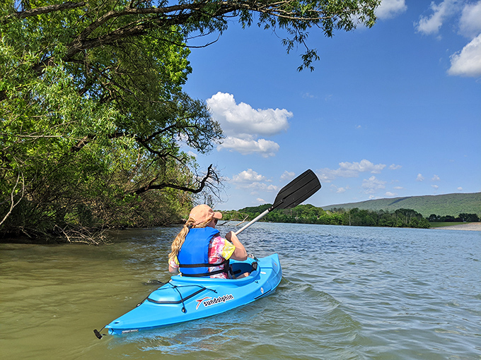 Social distancing, nature style. Nothing beats paddling into the quiet corners of the reservoir where cell reception can't find you.