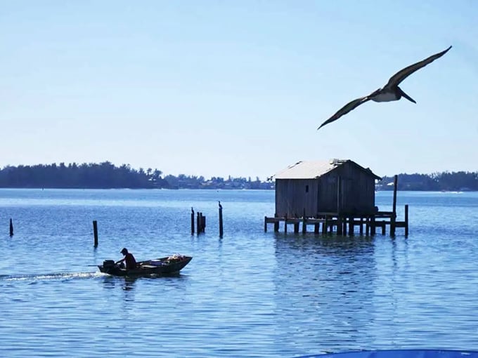 A solitary fisherman navigates calm waters as a pelican soars overhead. Some scenes in Cortez haven't changed in a century&mdash;and thank goodness for that.