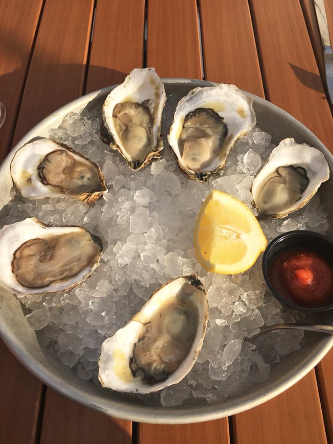 Oysters on ice—nature's perfect appetizer. These glistening Chesapeake beauties need nothing more than a squeeze of lemon and a moment of silence.