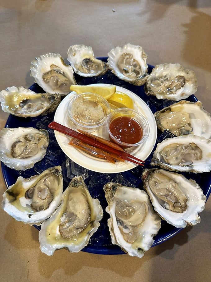 These oysters aren't just served; they're presented&mdash;a dozen glistening gems arranged in a perfect circle, awaiting their lemon and cocktail sauce companions.