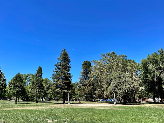 Towering trees provide welcome shade in King City's parks, where antique hunters can recharge before diving back into the thrill of the hunt.