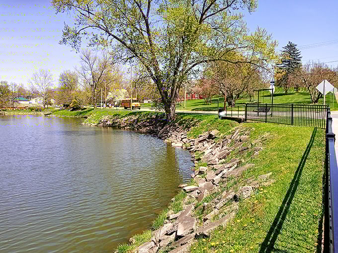 City parks offer peaceful waterfront views where locals stroll, fish, and occasionally pretend they're not watching you feed the ducks