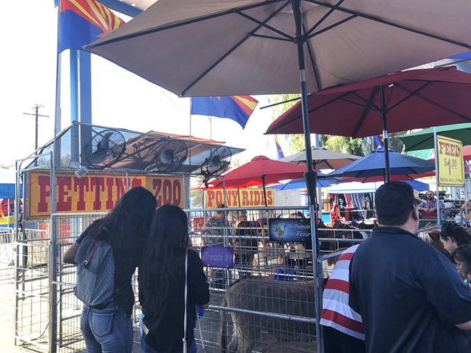 Colorful umbrellas create shade while visitors browse through endless rows of fascinating finds.