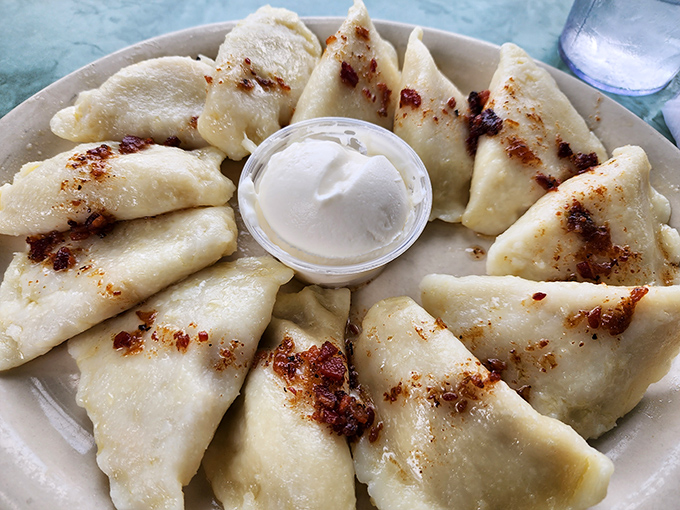 Pierogi perfection in its natural habitat&mdash;golden-brown pockets of joy arranged in a circle, as if performing a delicious Polish ballet around that sour cream.