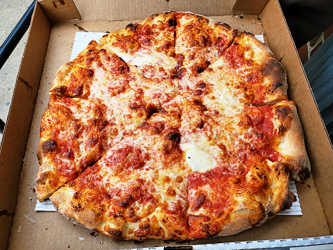 Pizza perfection in cardboard housing. The blistered crust and molten cheese spots tell you everything you need to know before the first bite.
