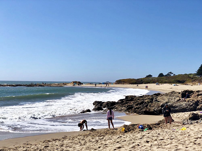 Who needs Instagram filters when you've got this? Bean Hollow's sunny stretches offer the perfect playground where memories outlast even the most stubborn sand in your shoes.