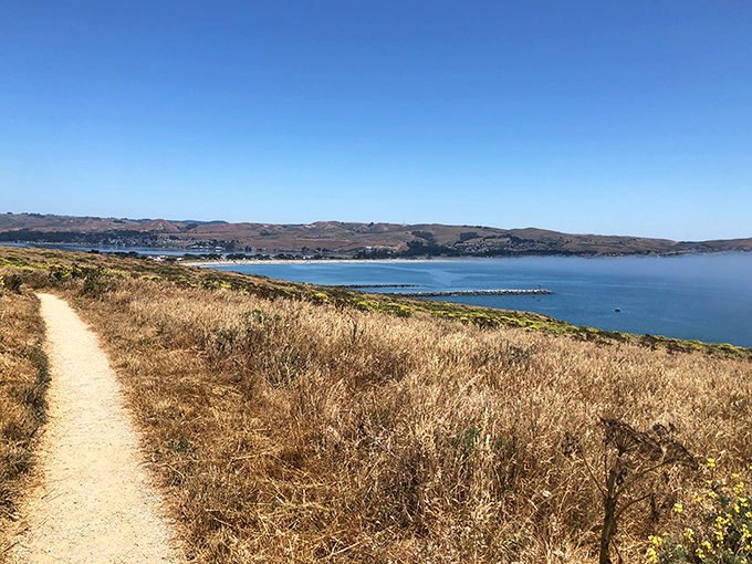 A trail that promises ocean views and delivers the kind of scenery that makes smartphone cameras feel wholly inadequate to the task.