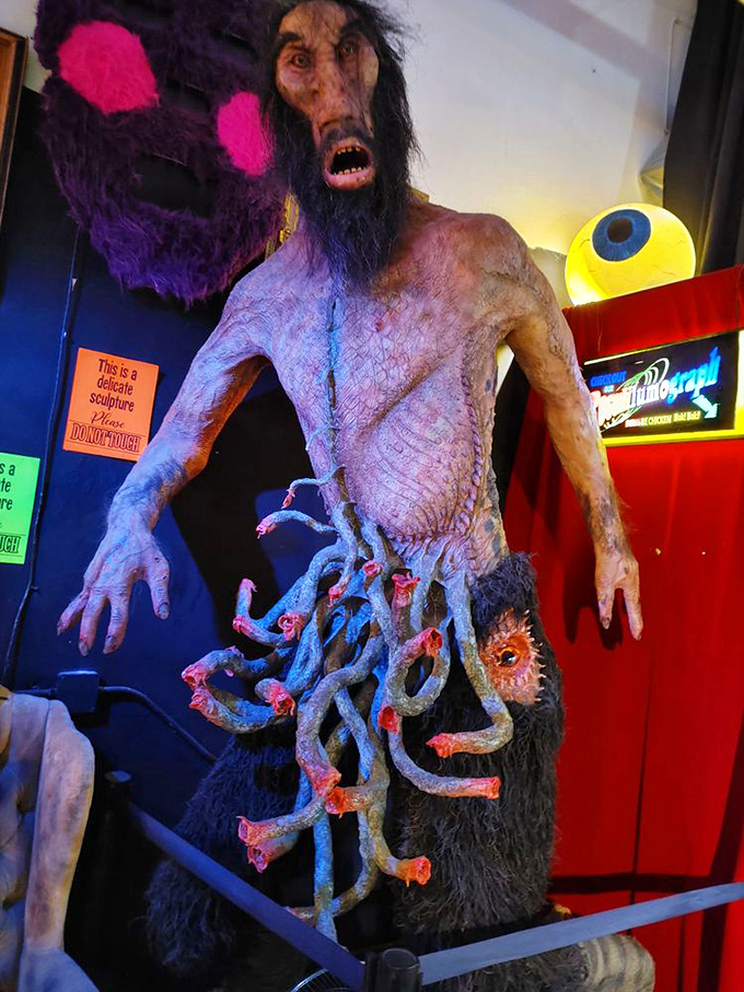 This unsettling creature with tentacles for innards proves that beauty is definitely in the eye of the beholder.