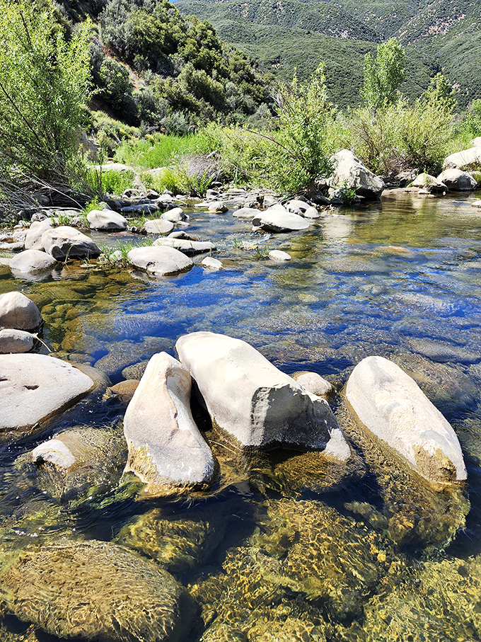 Rock-hopping paradise where every stone tells a geological story. The water's clarity reveals a world that's been flowing since before Instagram filters existed.