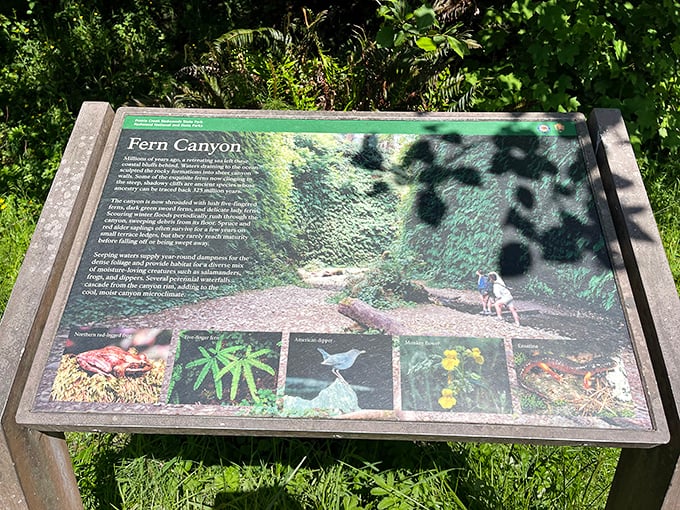 The informational sign that doesn't begin to prepare you for what lies ahead&mdash;like reading a menu description for the best meal of your life.