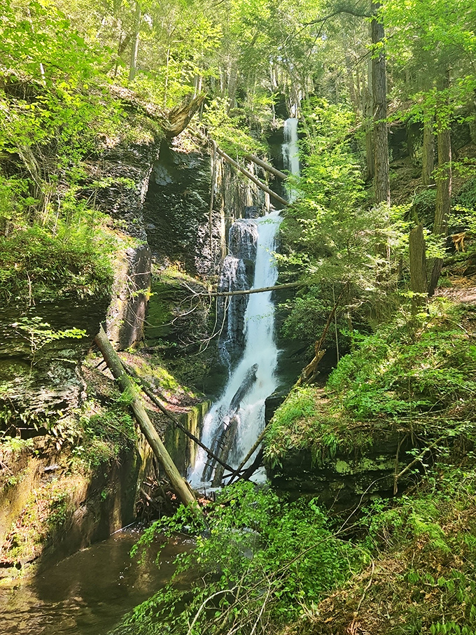 Silverthread Falls slices through the forest like a ribbon of silk, proving that sometimes the best things in life are hiding just off the main attraction.