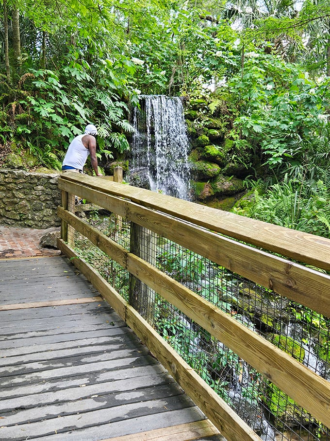 A hidden waterfall cascades down moss-covered rocks, creating Florida's most photogenic secret spot.