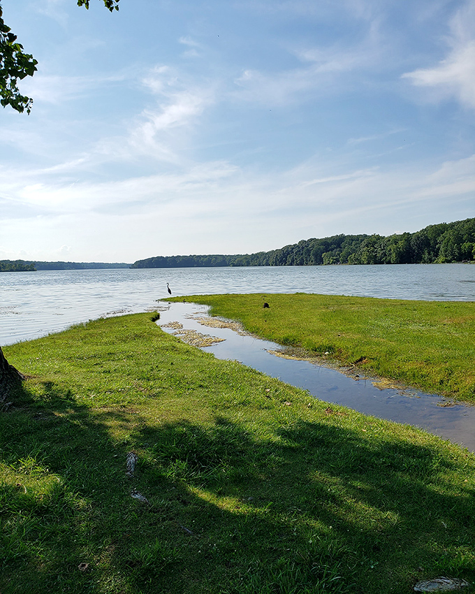 Nature's own lazy river winds through the park, creating perfect spots for quiet contemplation.