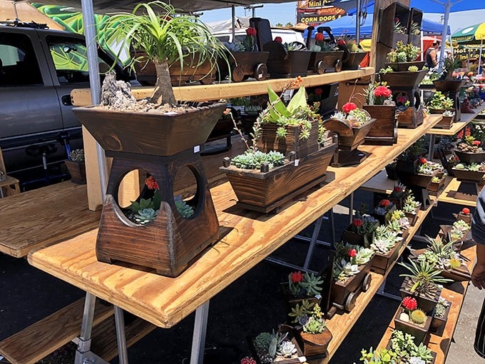 These aren't your grandmother's houseplants&mdash;unless your grandmother was secretly a desert-dwelling succulent wizard with impeccable taste.