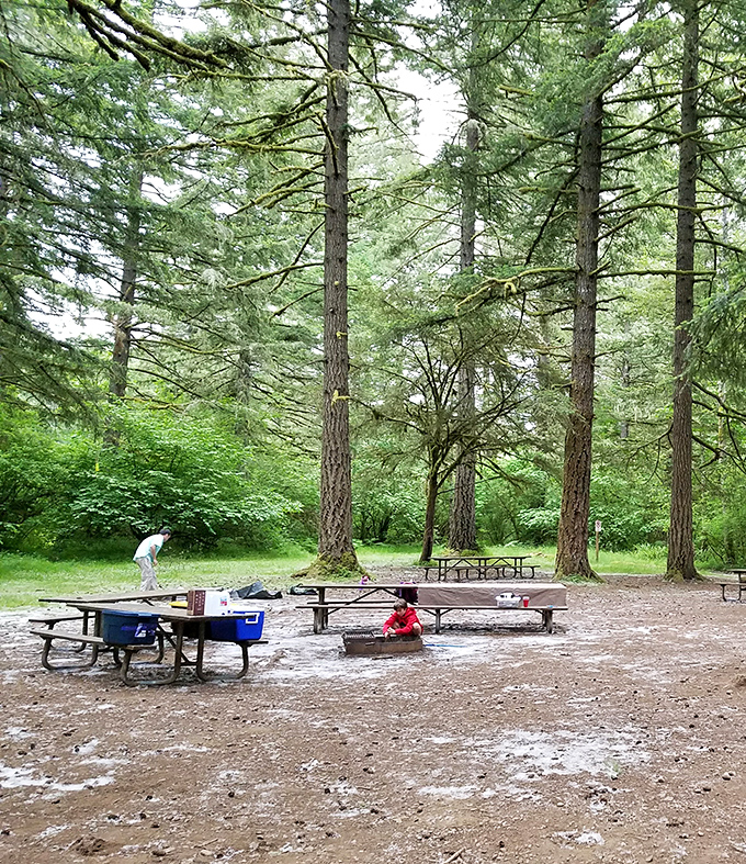 Finally, tourists who understand that the real show happens when you put the phone away.