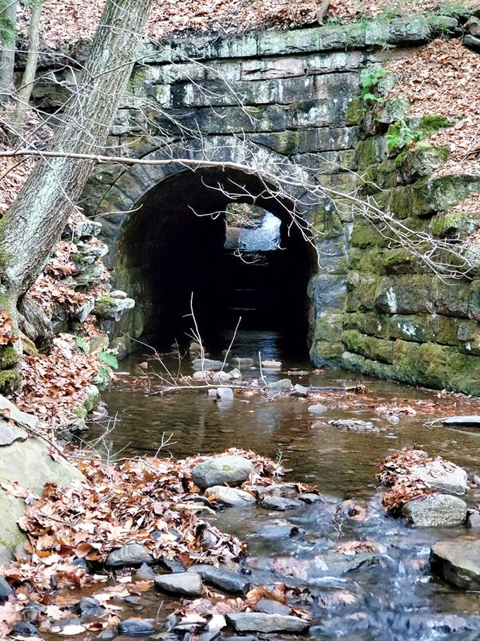 This stone tunnel isn't just picturesque—it's a testament to early engineering that now serves as a perfect frame for nature's watercolor.