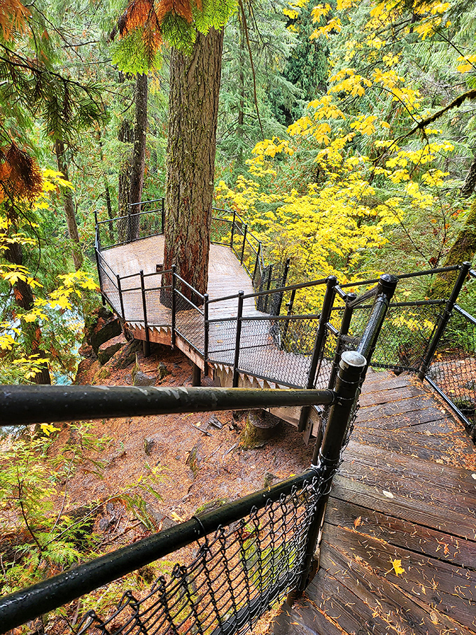 The viewing platform: where visitors stand slack-jawed and photographers frantically adjust settings, trying to capture what seems impossible to frame.
