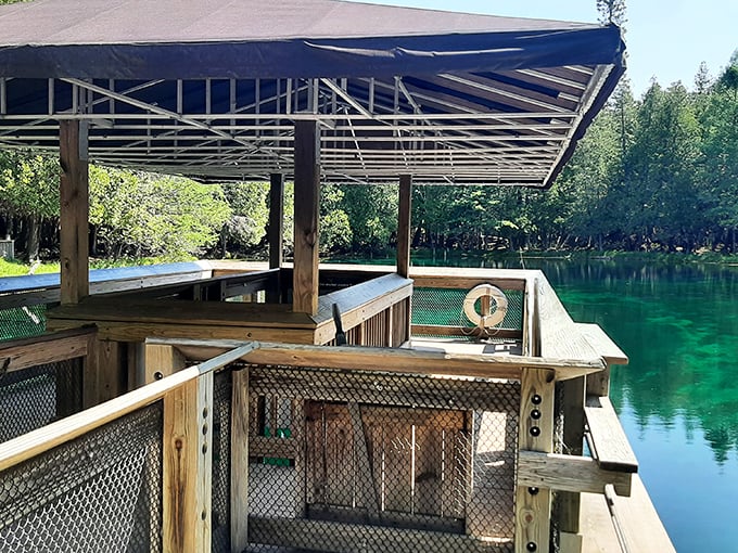 Not your average pontoon party! The covered observation raft awaits to ferry curious explorers across the spring's mesmerizing surface. 