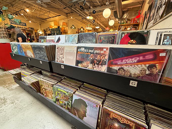 Vinyl junkies, prepare to lose track of time. These album covers aren't just music&mdash;they're the soundtrack to entire decades of American life. 