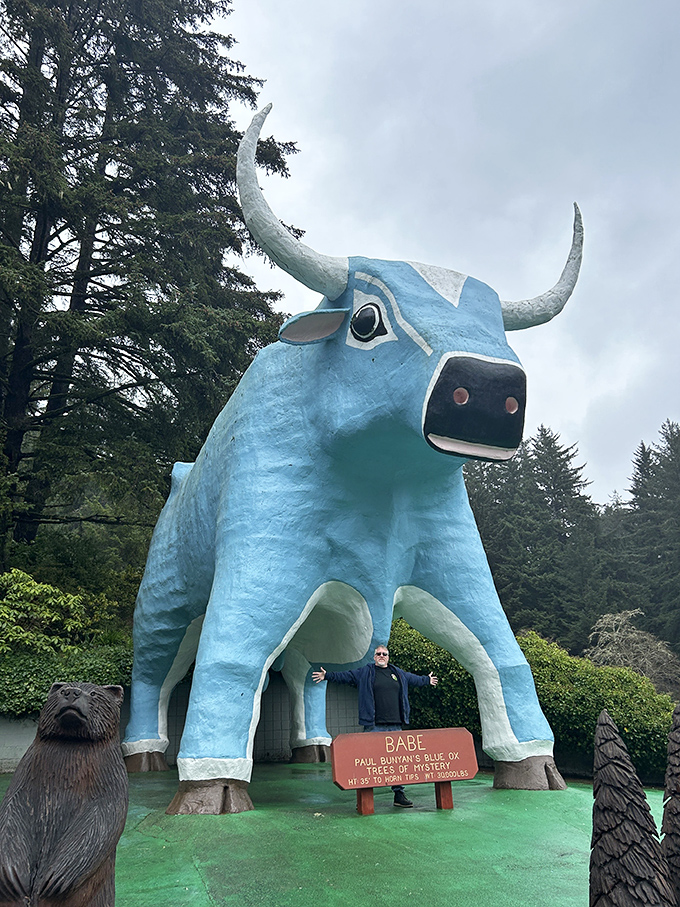 Babe the Blue Ox: so massive that hugging him is like trying to embrace a small swimming pool painted cerulean. Those horns mean business!