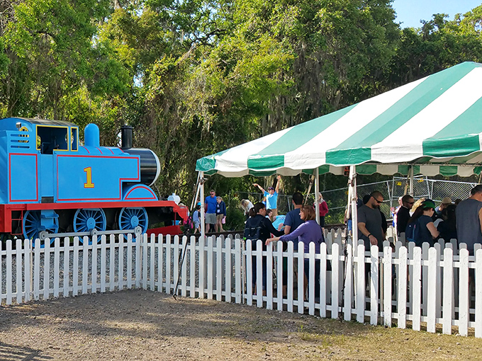 All aboard the nostalgia express! Families gather under striped tents for a special event featuring everyone's favorite blue engine from childhood.