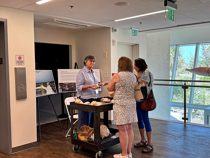 Knowledge gets passed shell to hand as museum staff share their expertise with curious visitors, turning casual interest into genuine fascination.