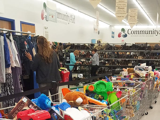 Treasure hunters in their natural habitat, carts brimming with colorful toys and clothing finds&mdash;the thrill of the hunt captured in real time.