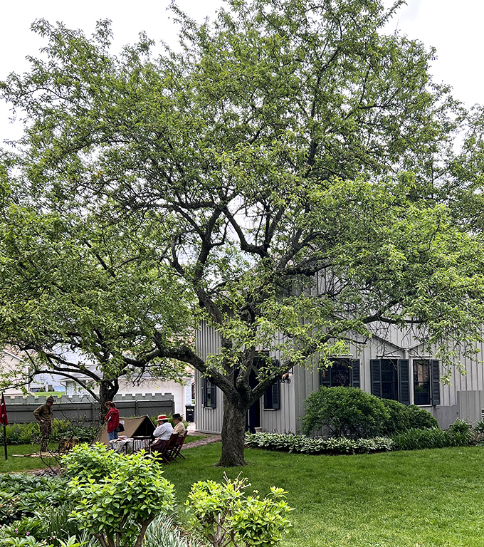 Under the shade of century-old trees, visitors experience the Castle's grounds as Victorians once did&mdash;minus the corsets and top hats.