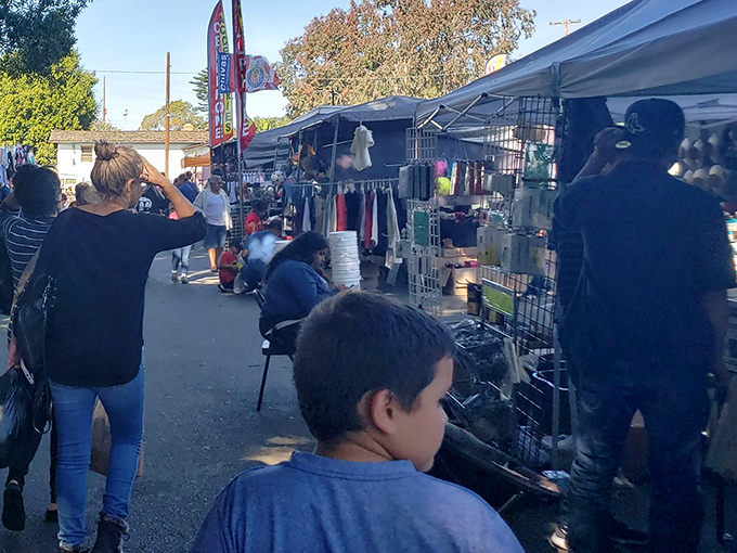 The universal language of bargain hunting brings shoppers together, scanning merchandise with the focus of archaeologists discovering ancient treasures.