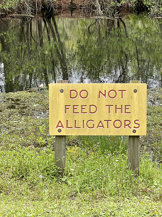 "Do Not Feed The Alligators" &ndash; the South's version of "Please Don't Pet the Lions." Some warnings shouldn't need explaining.
