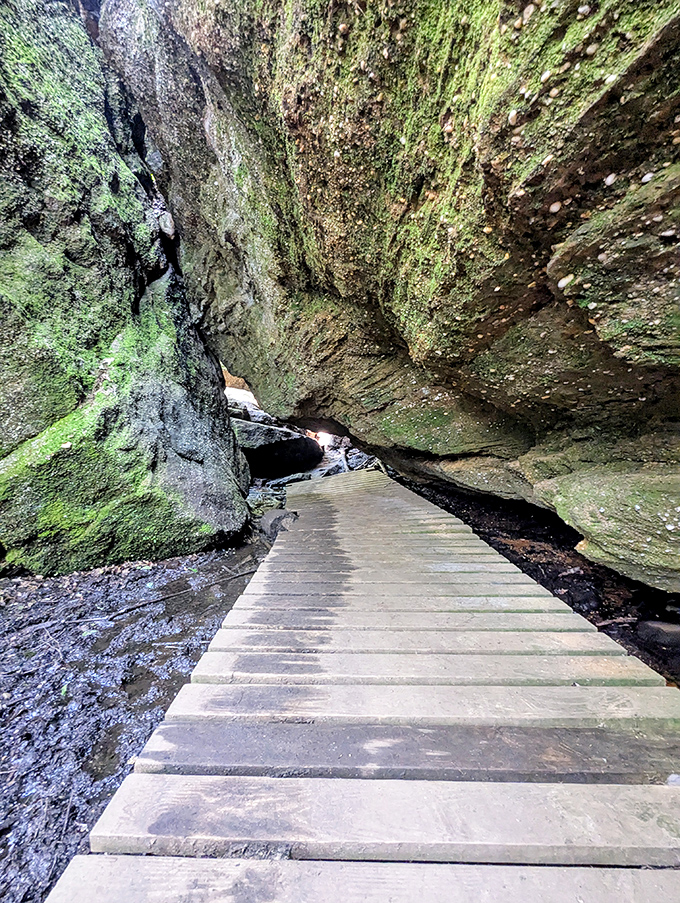 Who needs stairs when you have this wooden pathway? Threading between towering rock walls, it's like walking through nature's air conditioning system.