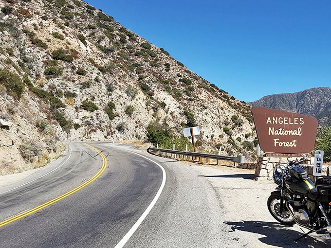 Angeles Crest Highway: Los Angeles' best-kept secret escape route, where mountain air replaces city smog in minutes flat.