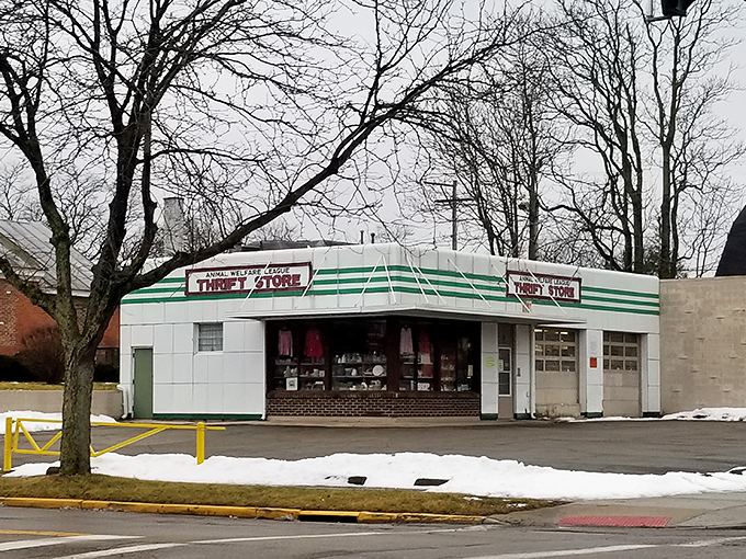 This retro-styled Animal Welfare League Thrift Store looks like it time-traveled from the 1950s, green stripes and all.