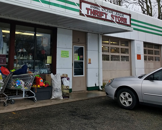 Shopping carts ready for action outside this unassuming building that helps furry friends with every purchase.
