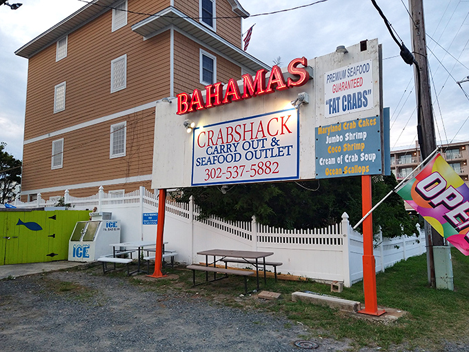 Bahama's bold colors match its bold flavors. This little lime-green crab shack packs more flavor than buildings three times its size!